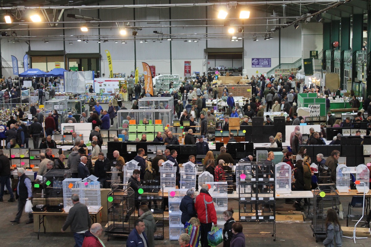 Stafford Spring Bird Show 2019 : Wildlife One Society